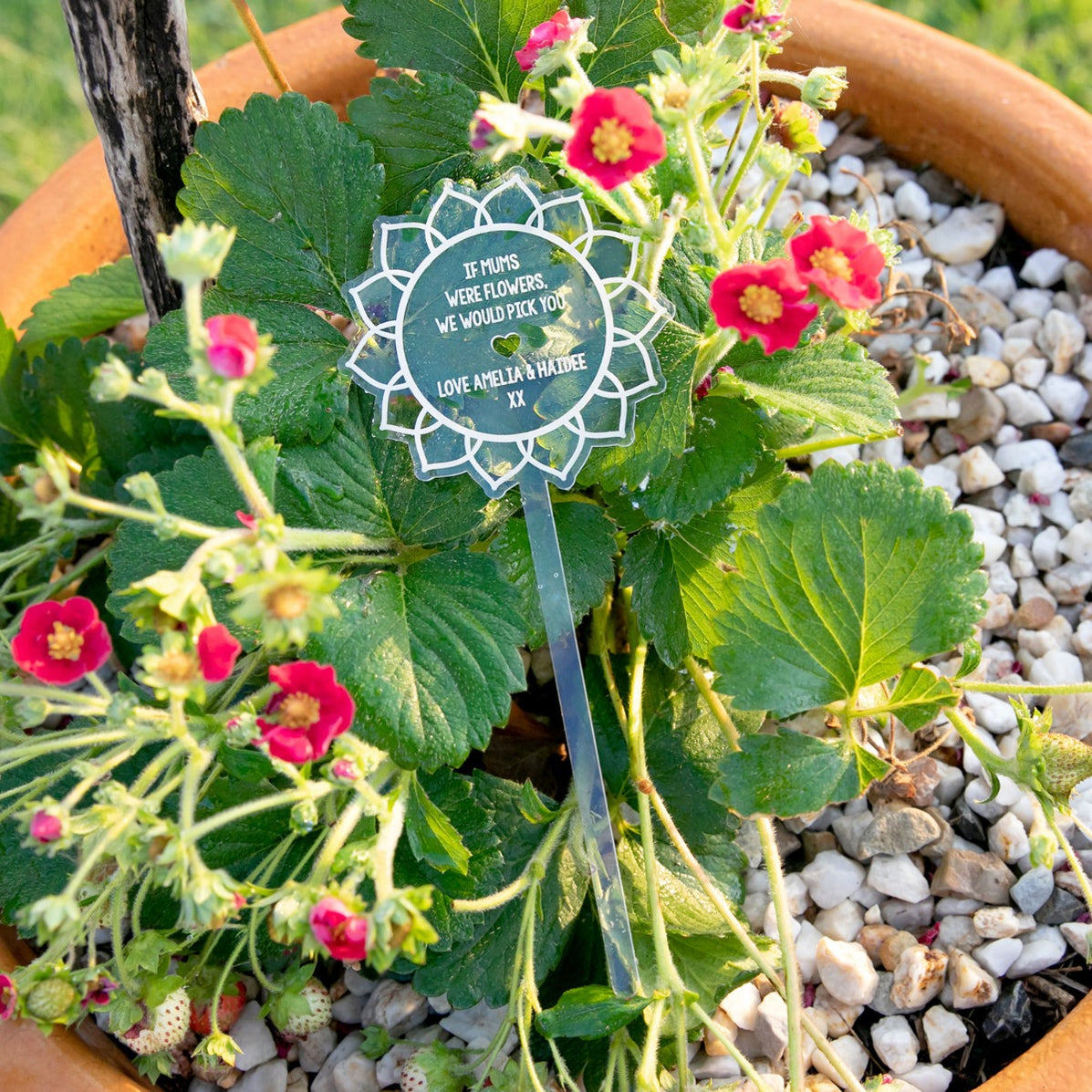 Custom Mother's Day Clear Planter Stick| Personalised Favours