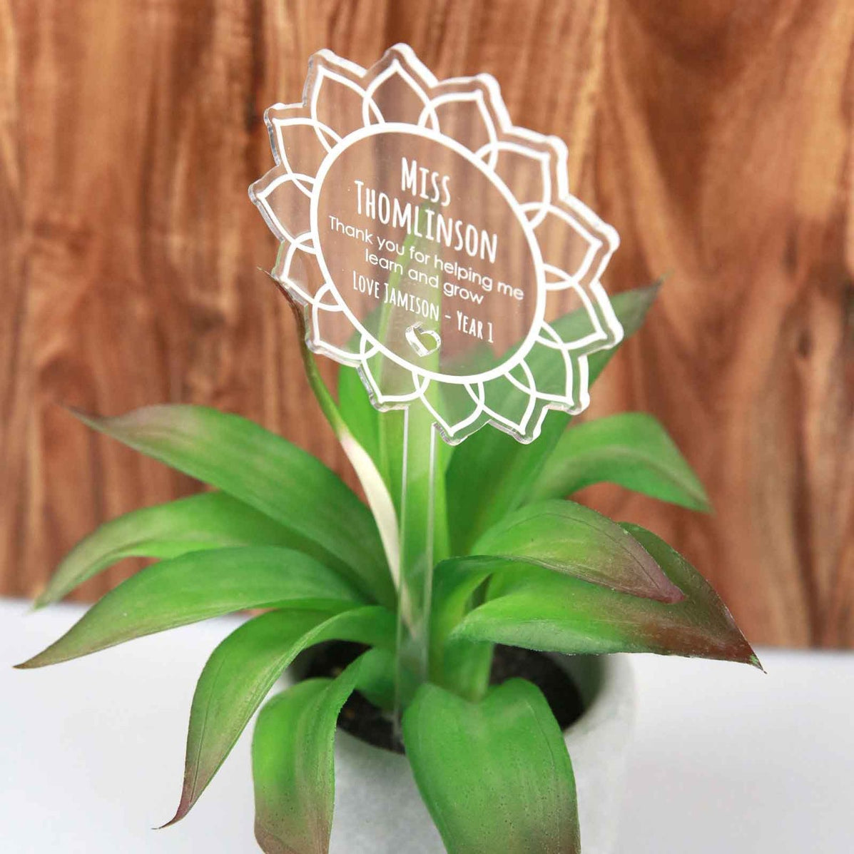 Engraved Teacher Acrylic Planter Stick Present | Personalised Favours