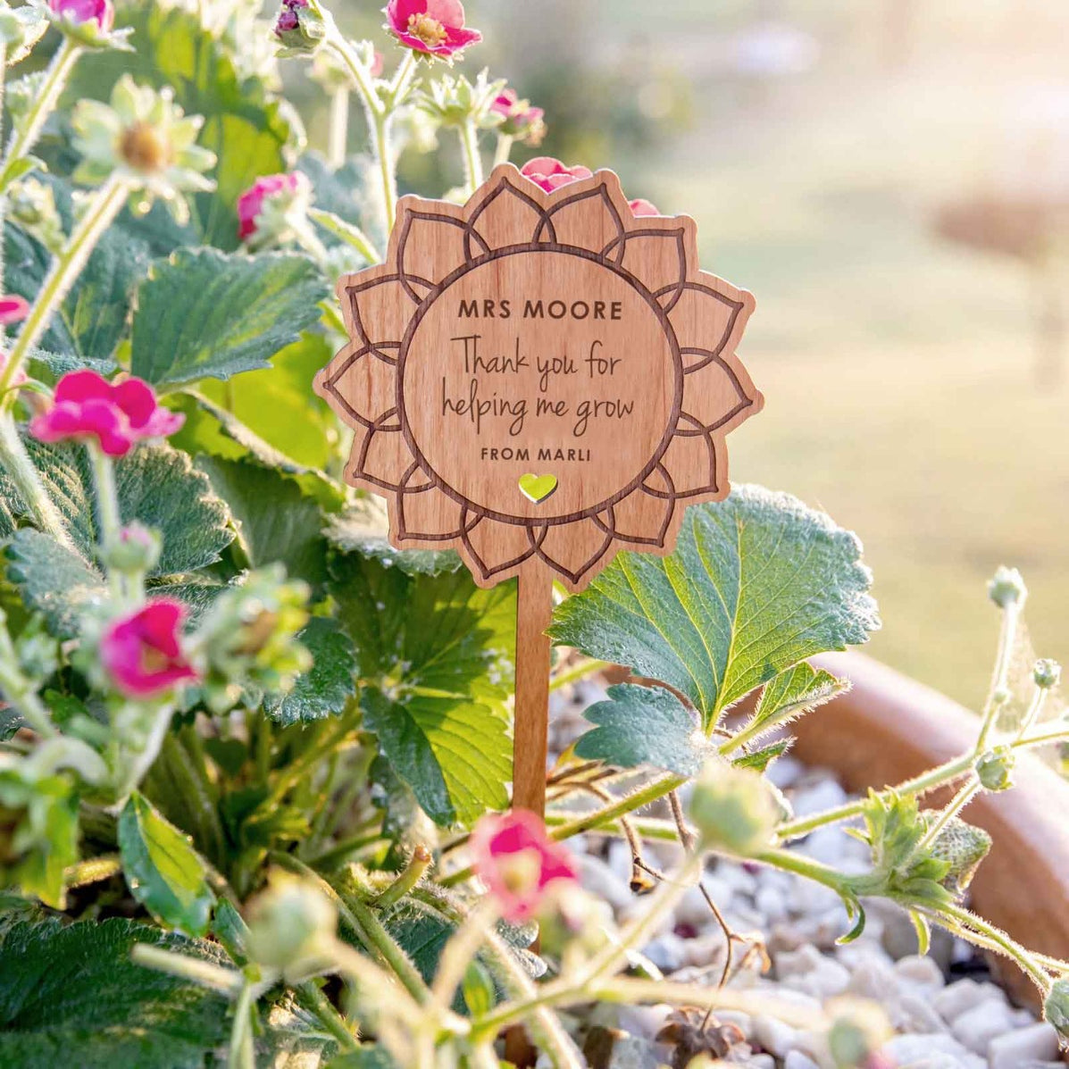 Teacher Engraved Wooden Planter Stick | Personalised Favours